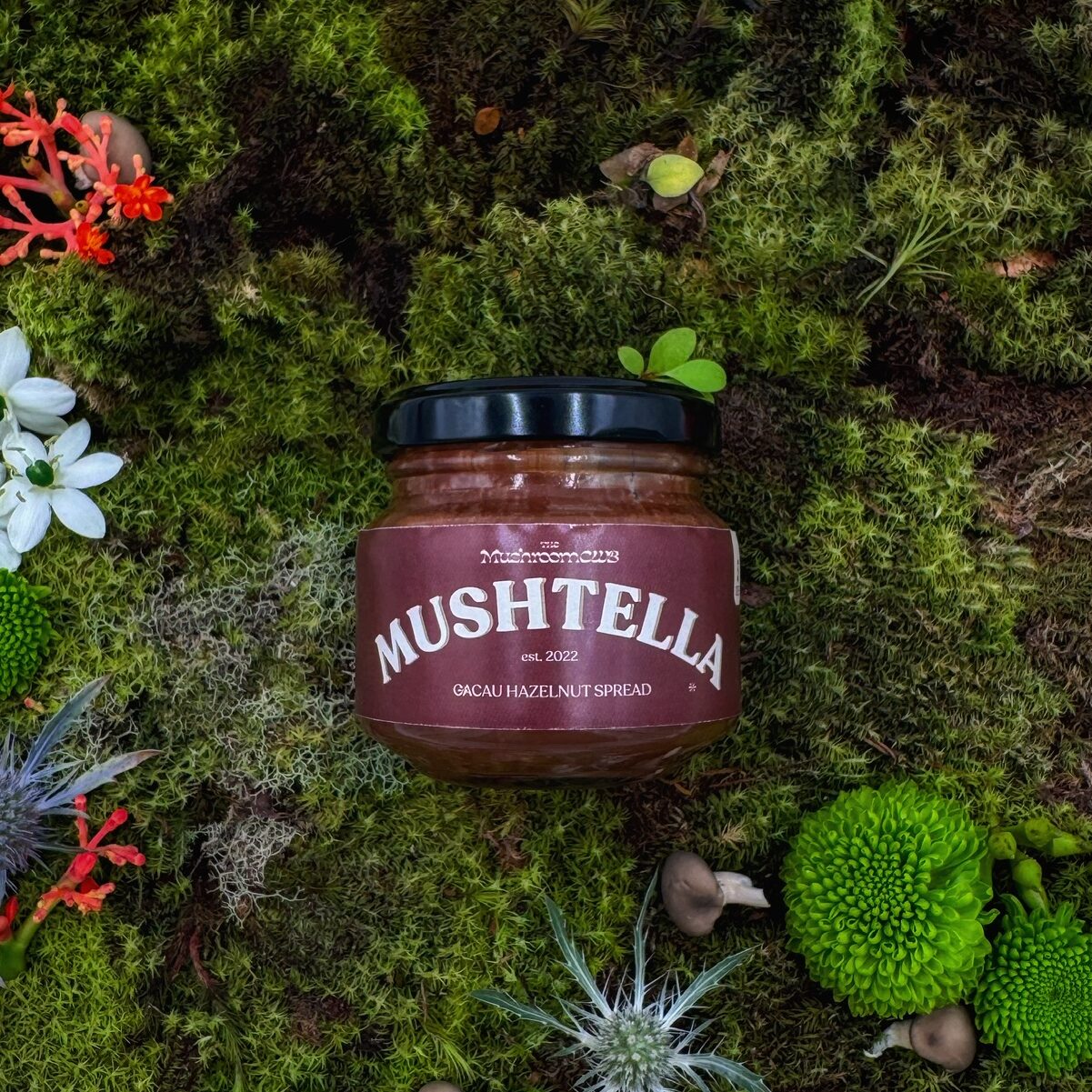 Mushtella - 🍄 The Mushroom Club